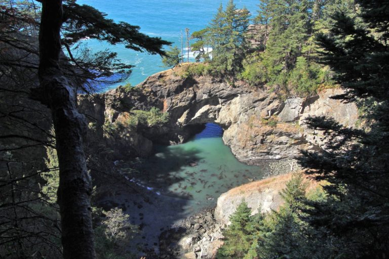 Oregon Coast: Boardman State Scenic Corridor (North), Sept 2016 – Evans ...