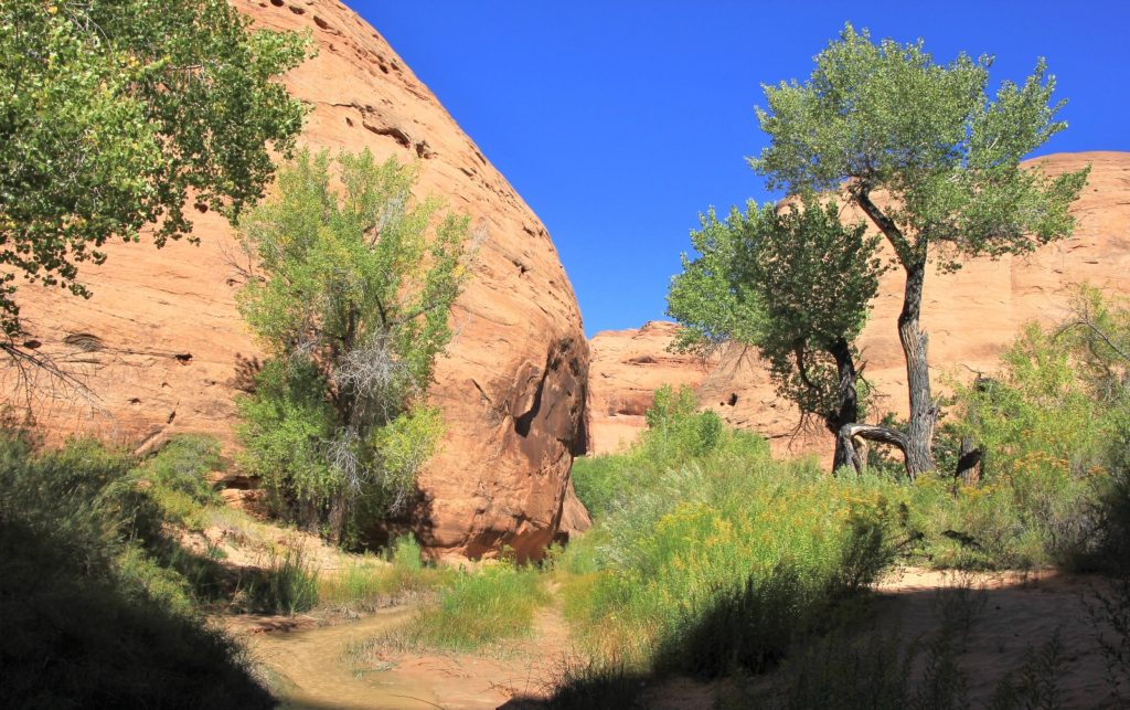 Desert Oasis: Backpacking Utah’s Coyote Gulch Day 1, Sept 2016 – Evans ...
