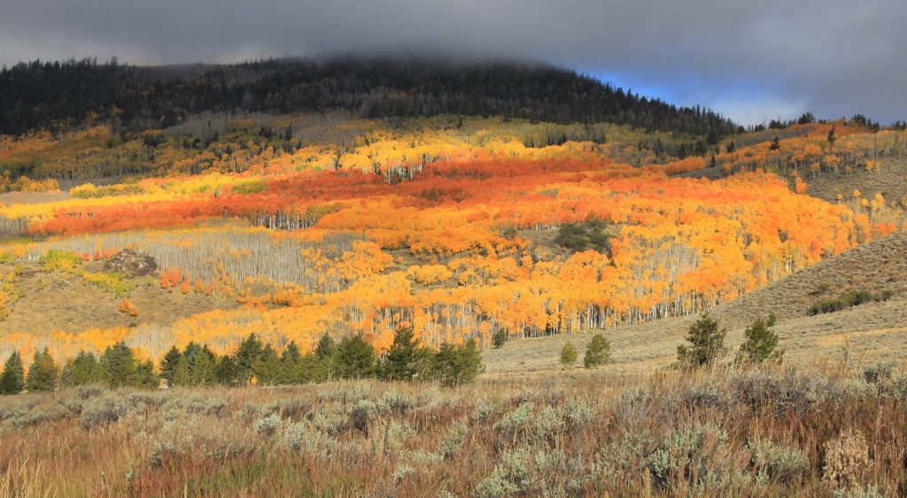 Fall Colors: Utah’s Fish Lake, Sept 2016 – Evans Outdoor Adventures
