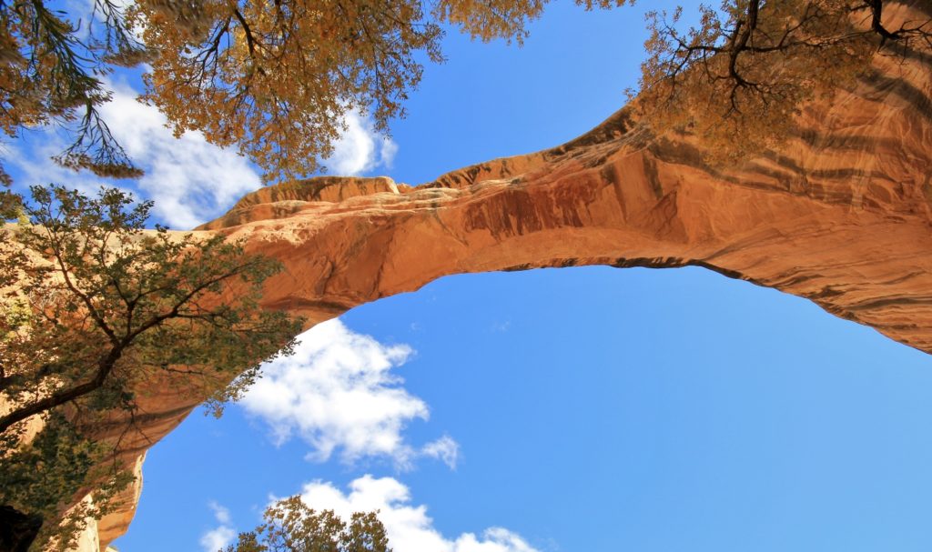Utah’s Natural Bridges National Monument (part 1), April 2017 – Evans ...