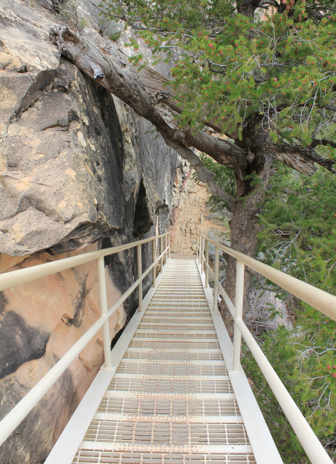 Utah’s Natural Bridges National Monument (part 1), April 2017 – Evans ...
