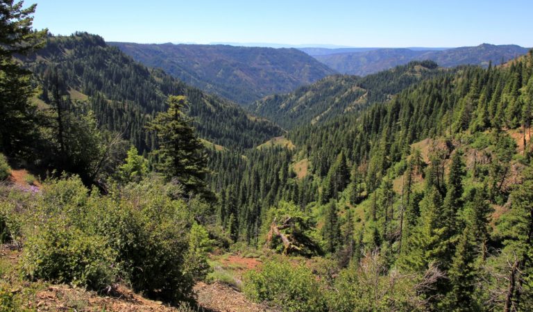 SE Washington’s Blue Mountains: Misery Backpack, June 2017 – Evans ...