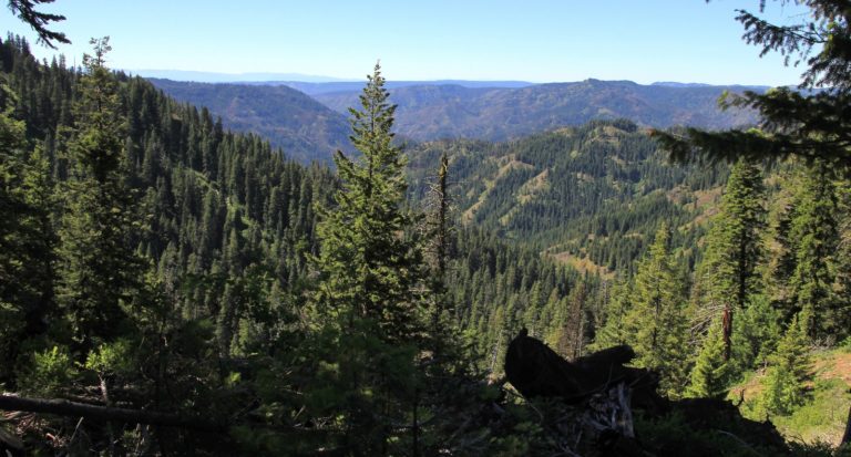 SE Washington’s Blue Mountains: Misery Backpack, June 2017 – Evans ...