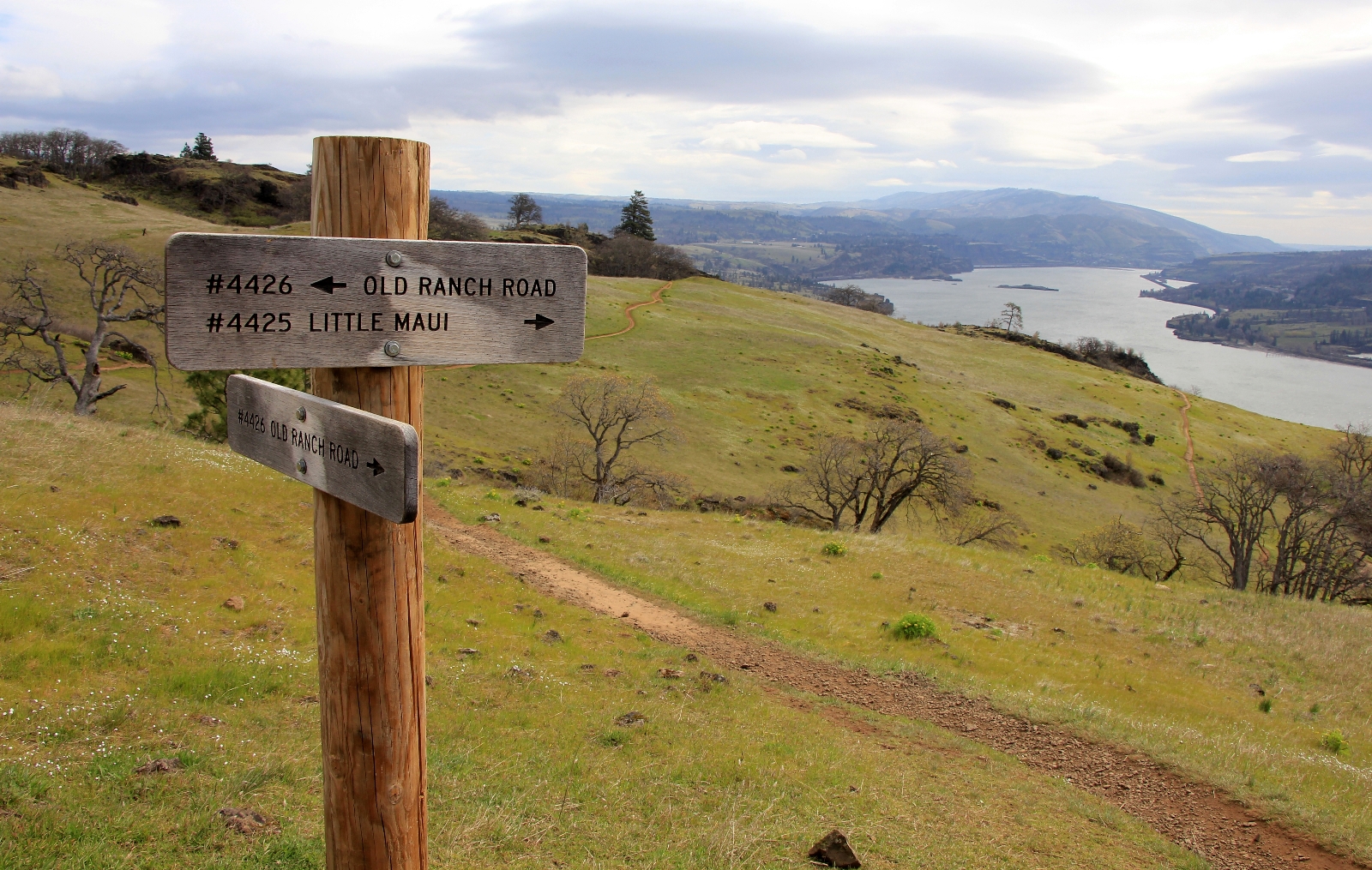 Washington’s Columbia River Gorge: The Labyrinth, April 2018 – Evans ...