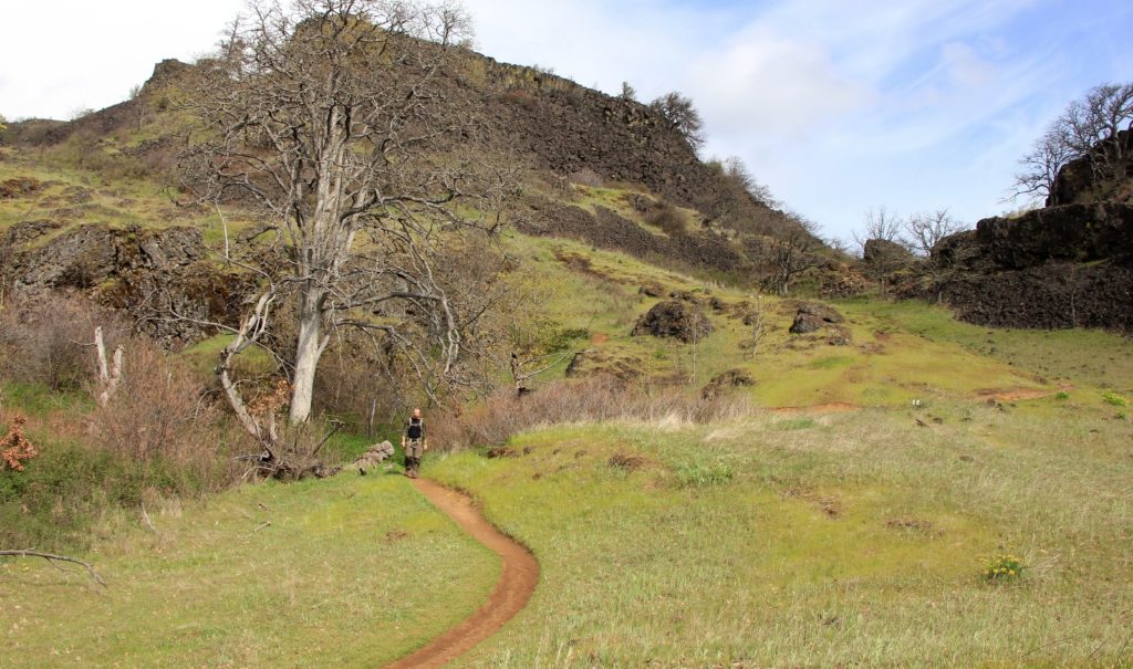Washington’s Columbia River Gorge: The Labyrinth, April 2018 – Evans ...