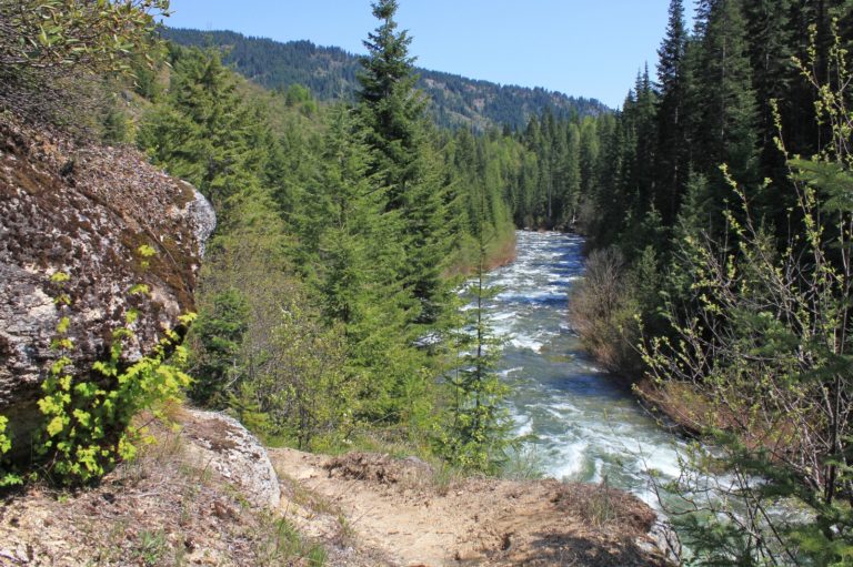 North Central Idaho’s Fish Creek – Evans Outdoor Adventures