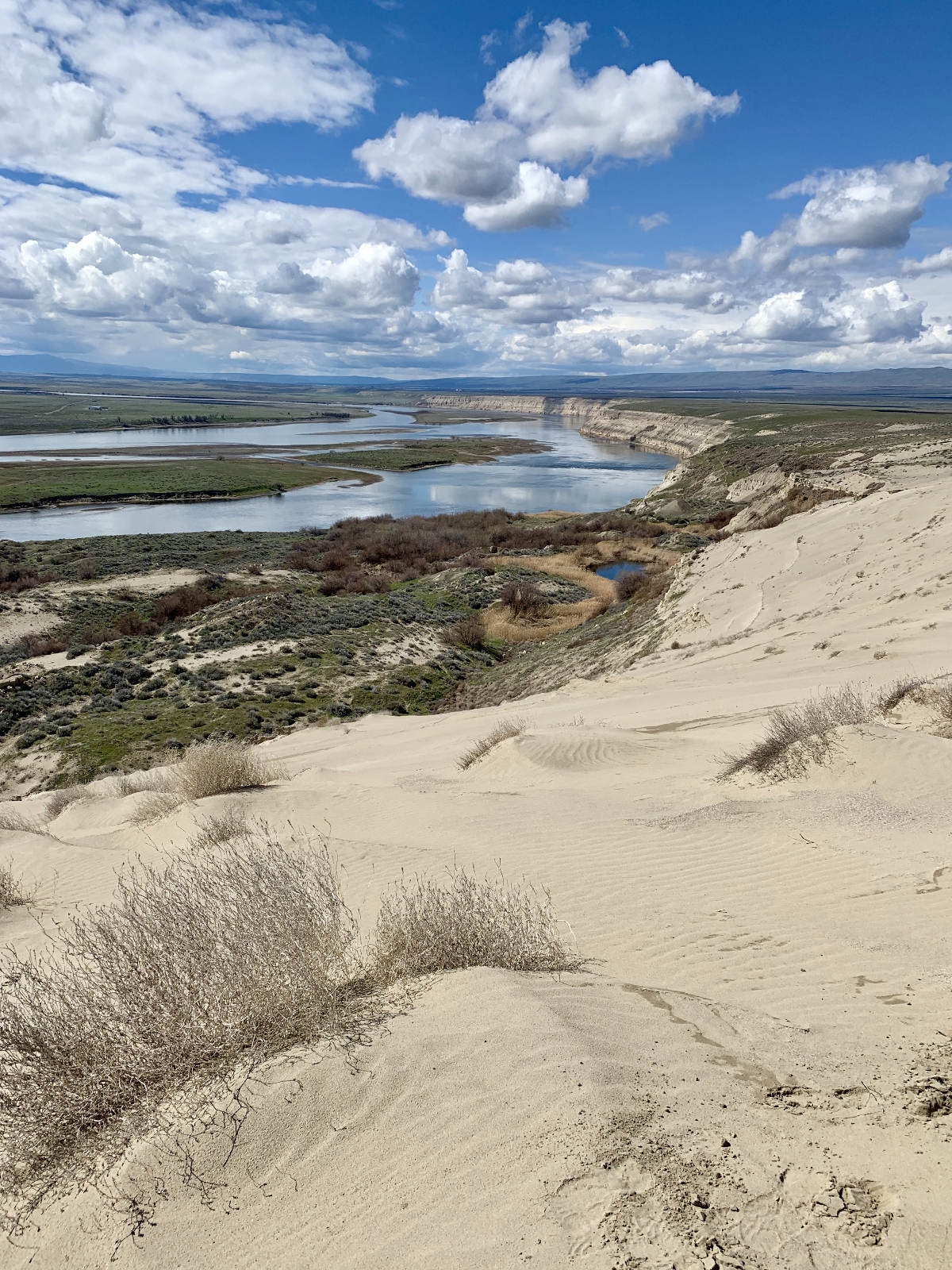 Ginkgo State Park, Umtanum & Cowiche Canyons, and White Bluffs – Evans ...