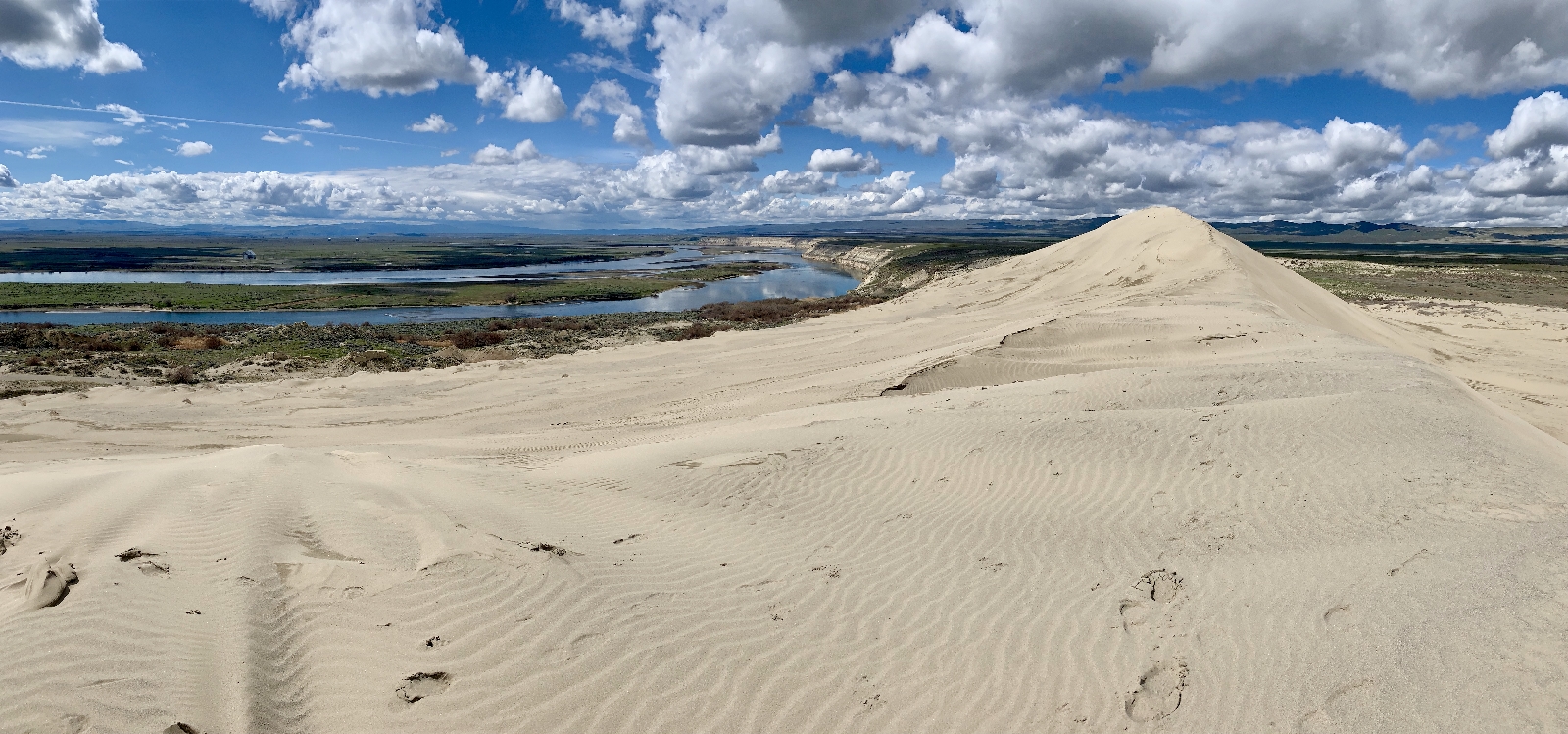Ginkgo State Park, Umtanum & Cowiche Canyons, and White Bluffs – Evans ...