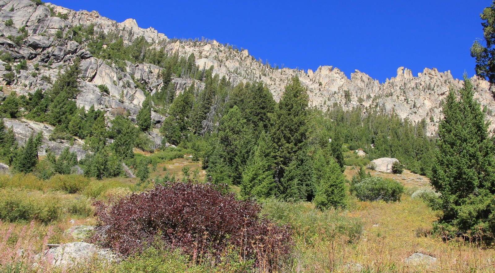 Idaho’s Sawtooth Wilderness Backpack Day 1: Redfish Lake to Alpine Lake ...