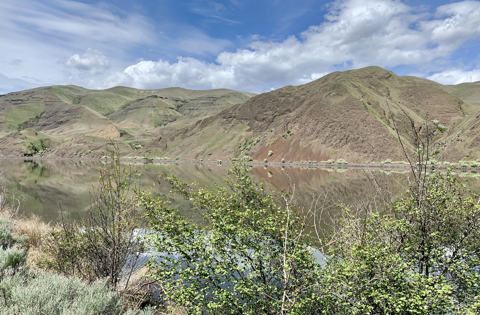 Chief Timothy (1) – Evans Outdoor Adventures