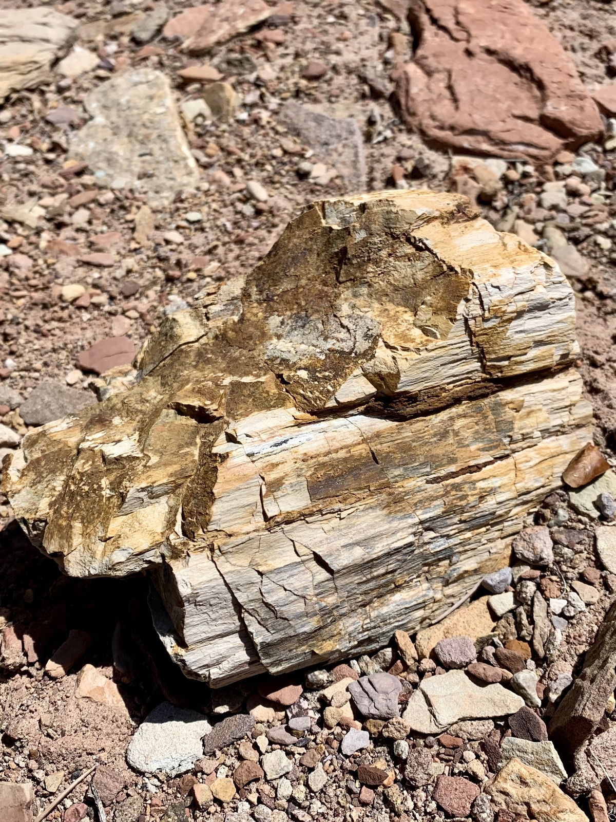 1 Farnsworth (11) – Evans Outdoor Adventures