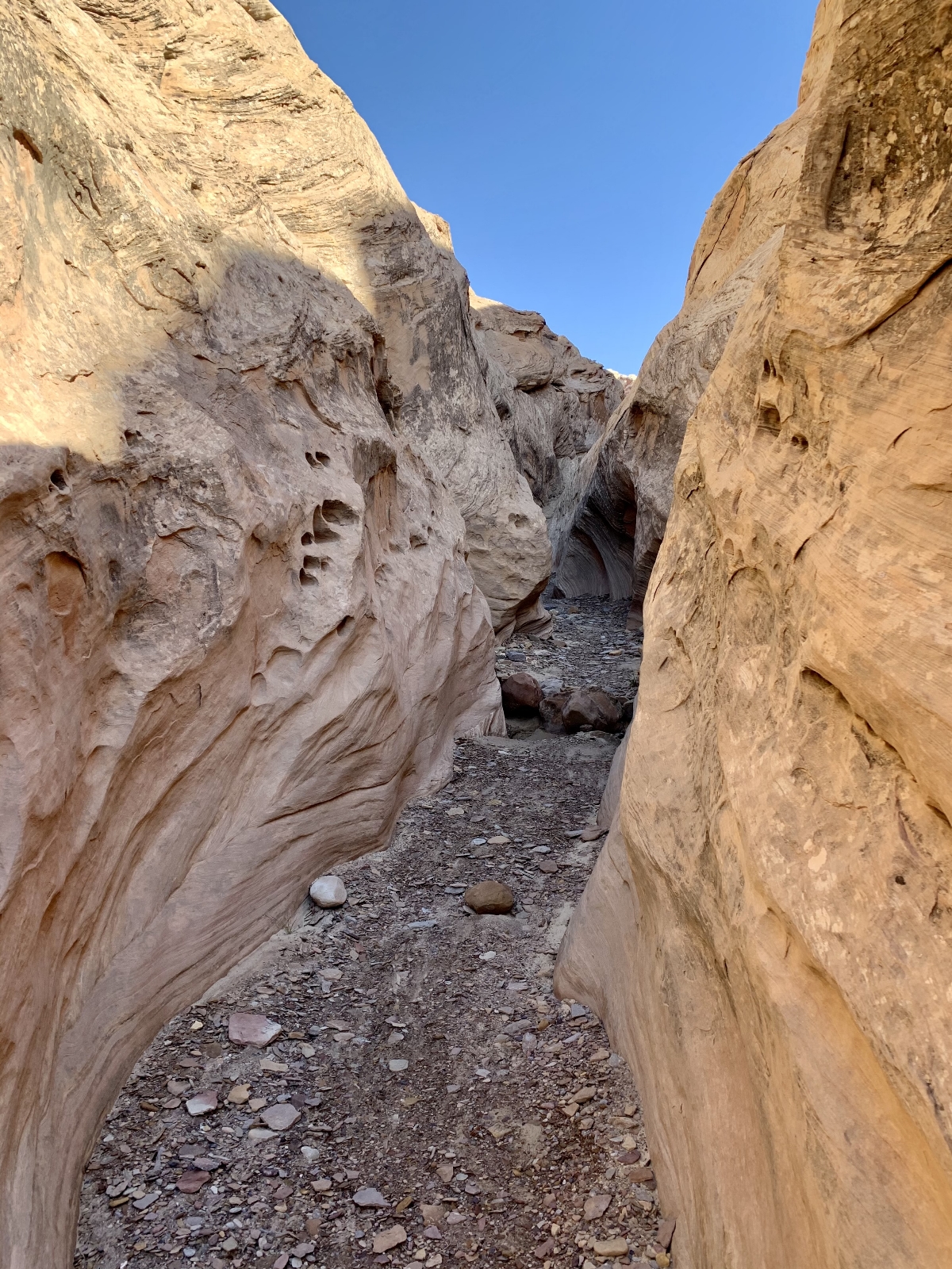 1 Farnsworth (2) – Evans Outdoor Adventures