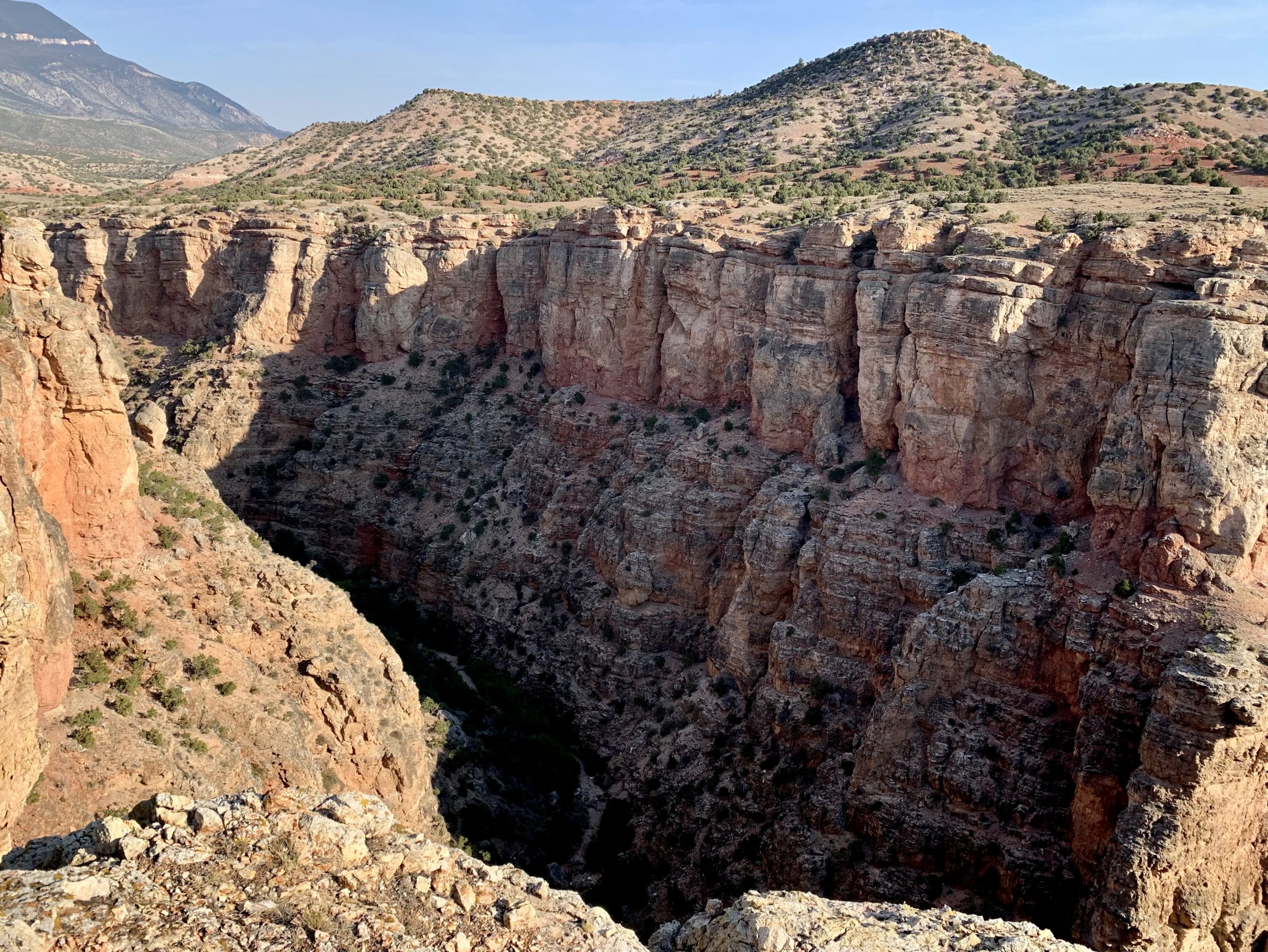 6 Lower Layout Creek (6) – Evans Outdoor Adventures