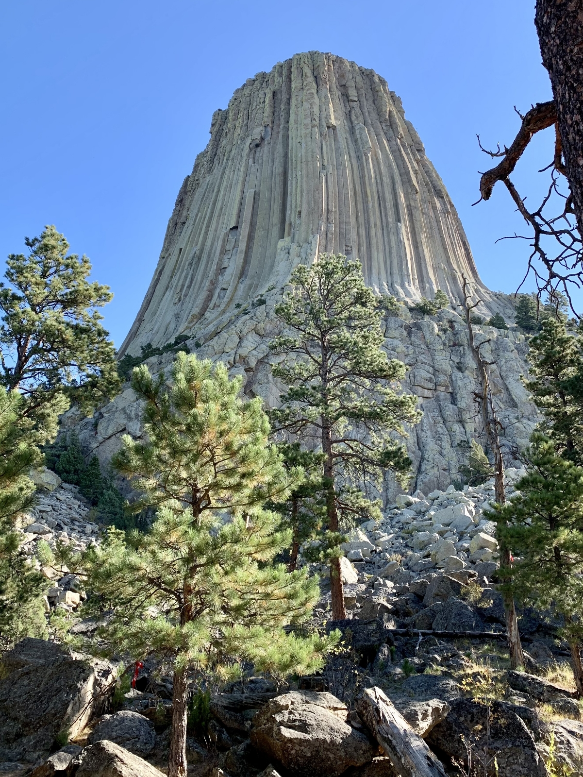 Devils Tower: America’s First National Monument – Evans Outdoor Adventures