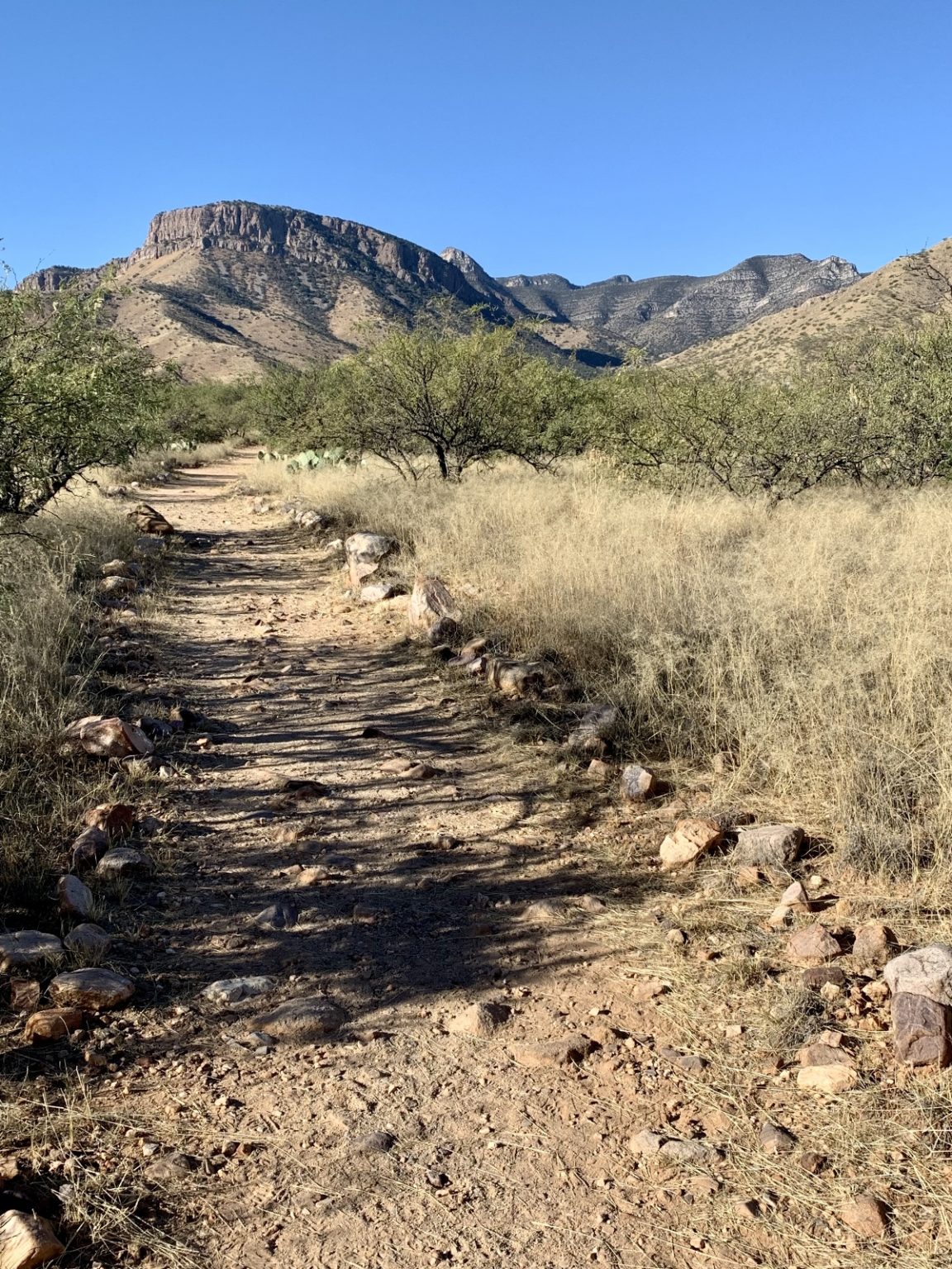 Arizona’s Kartchner Caverns State Park – Evans Outdoor Adventures