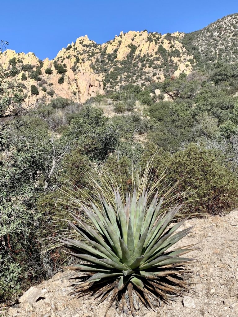 Exploring Arizona’s Dragoon Mountains – Evans Outdoor Adventures