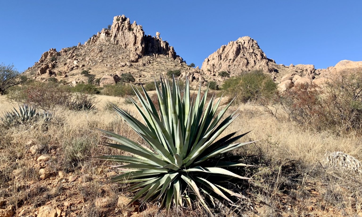 Exploring Arizona’s Dragoon Mountains – Evans Outdoor Adventures