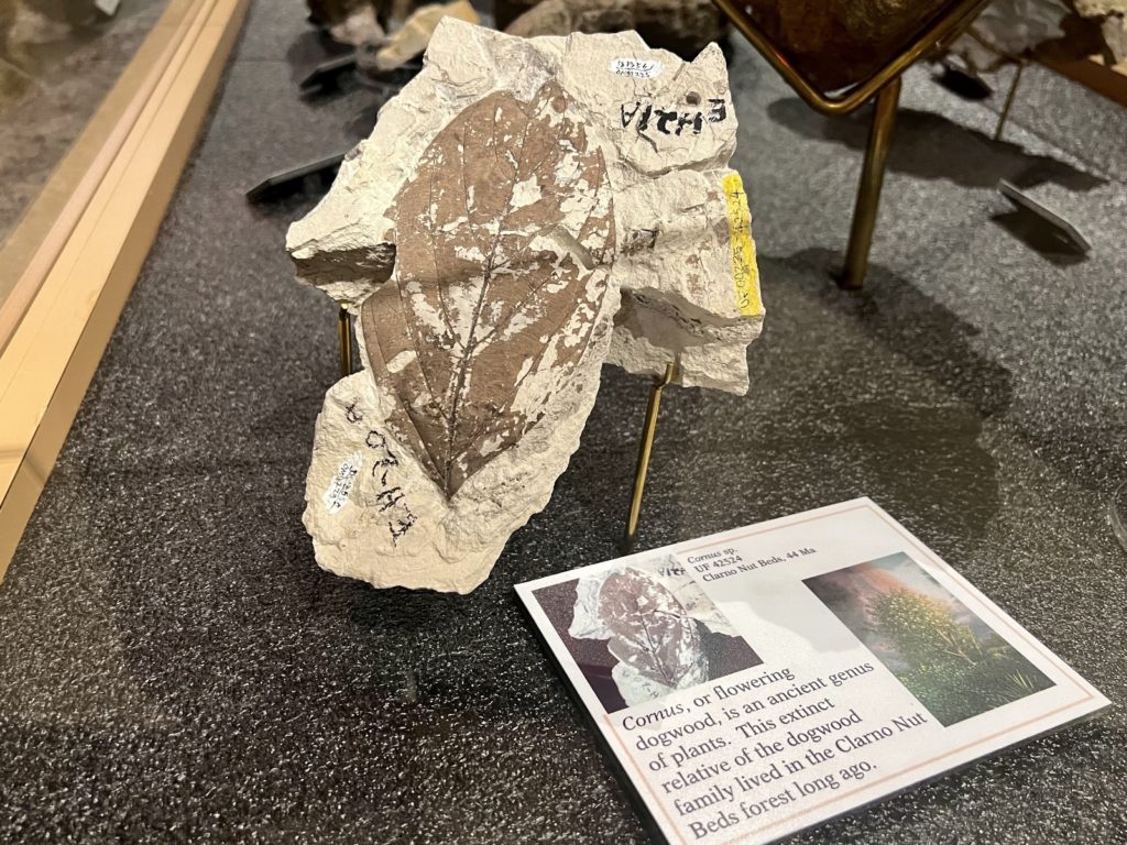 John Day Fossil Beds National Monument: Sheep Rock Unit – Evans Outdoor ...