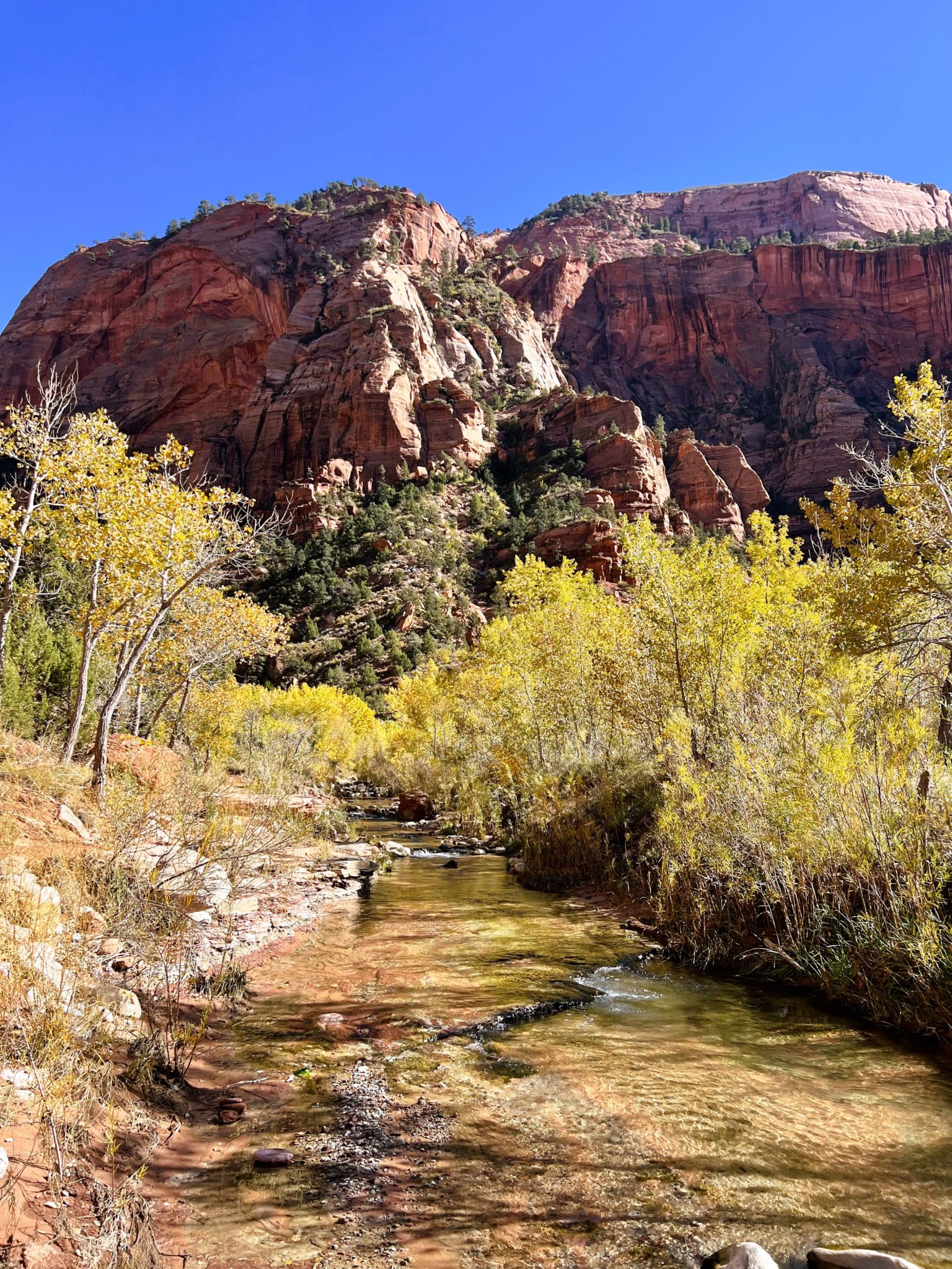 Kolob Arch, Zion National Park – Evans Outdoor Adventures