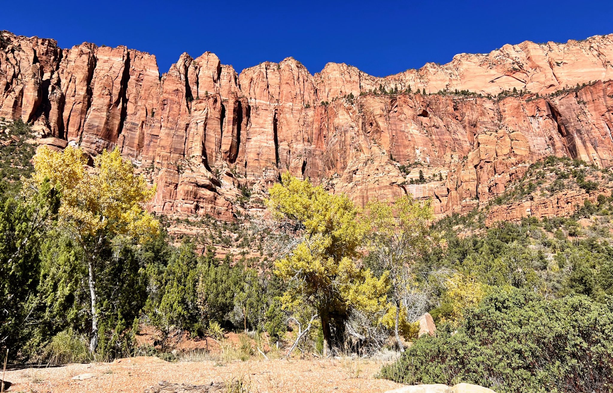 Kolob Arch, Zion National Park – Evans Outdoor Adventures