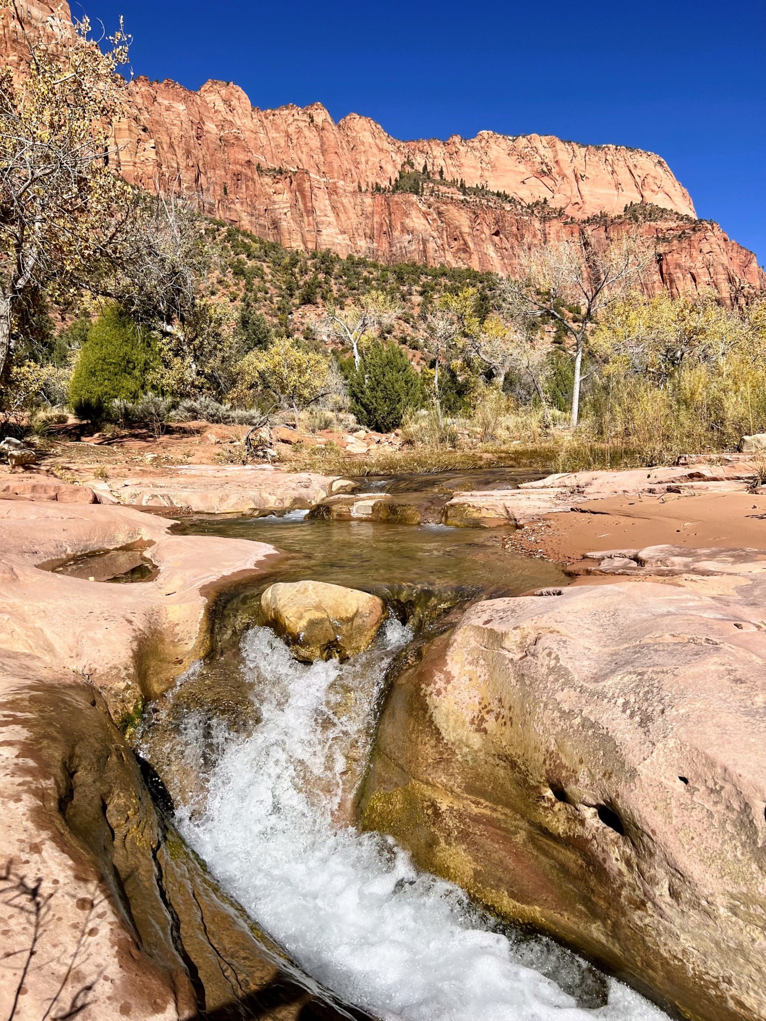 Kolob Arch, Zion National Park – Evans Outdoor Adventures