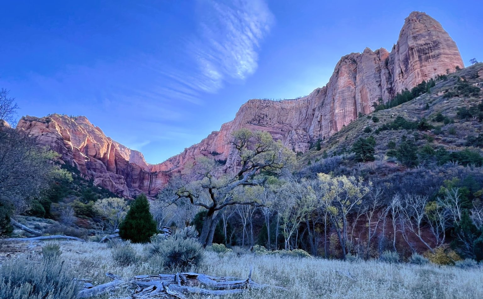 Kolob Arch, Zion National Park – Evans Outdoor Adventures