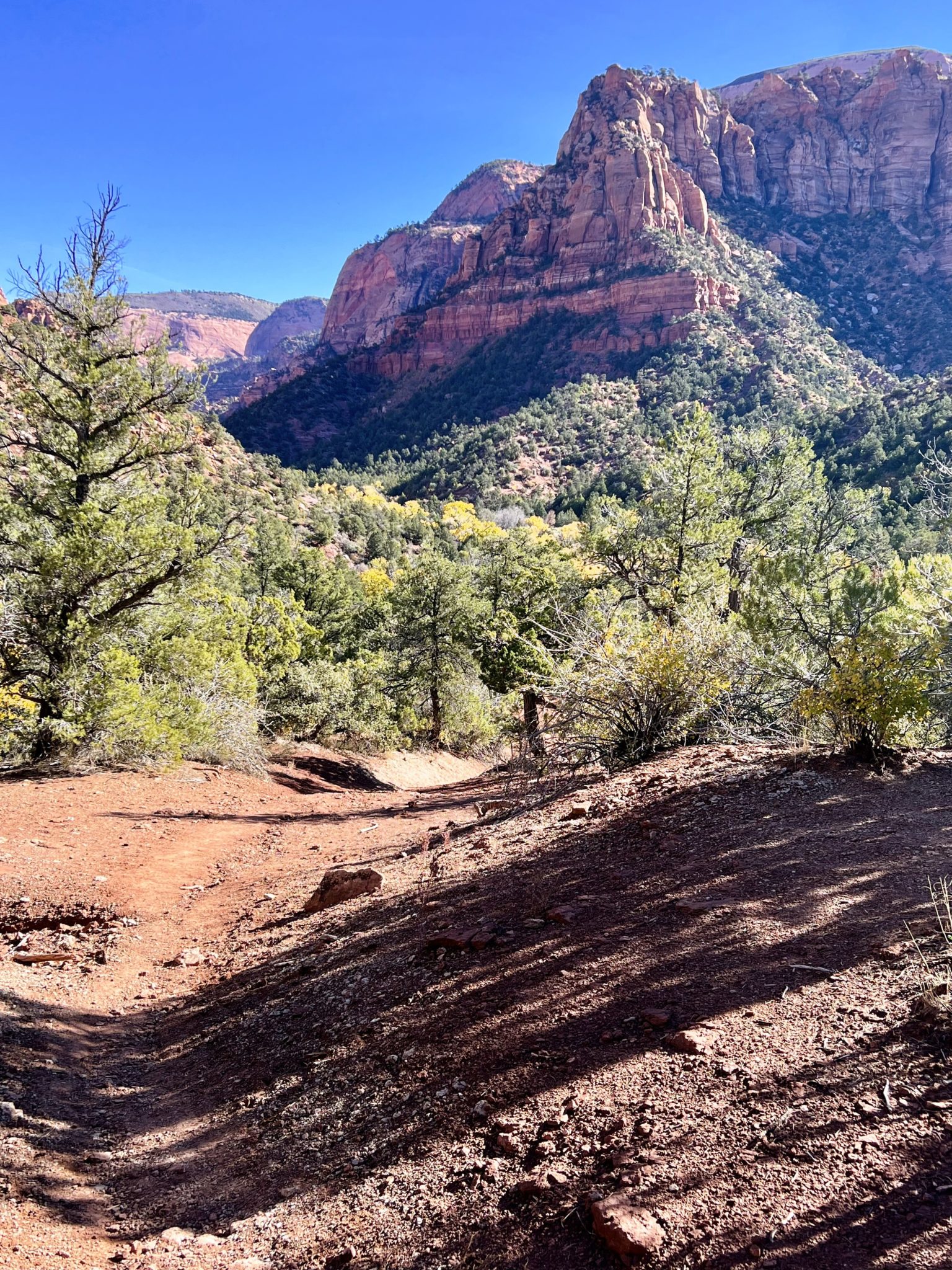 Kolob Arch, Zion National Park – Evans Outdoor Adventures