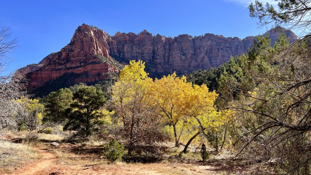 Kolob Arch, Zion National Park – Evans Outdoor Adventures