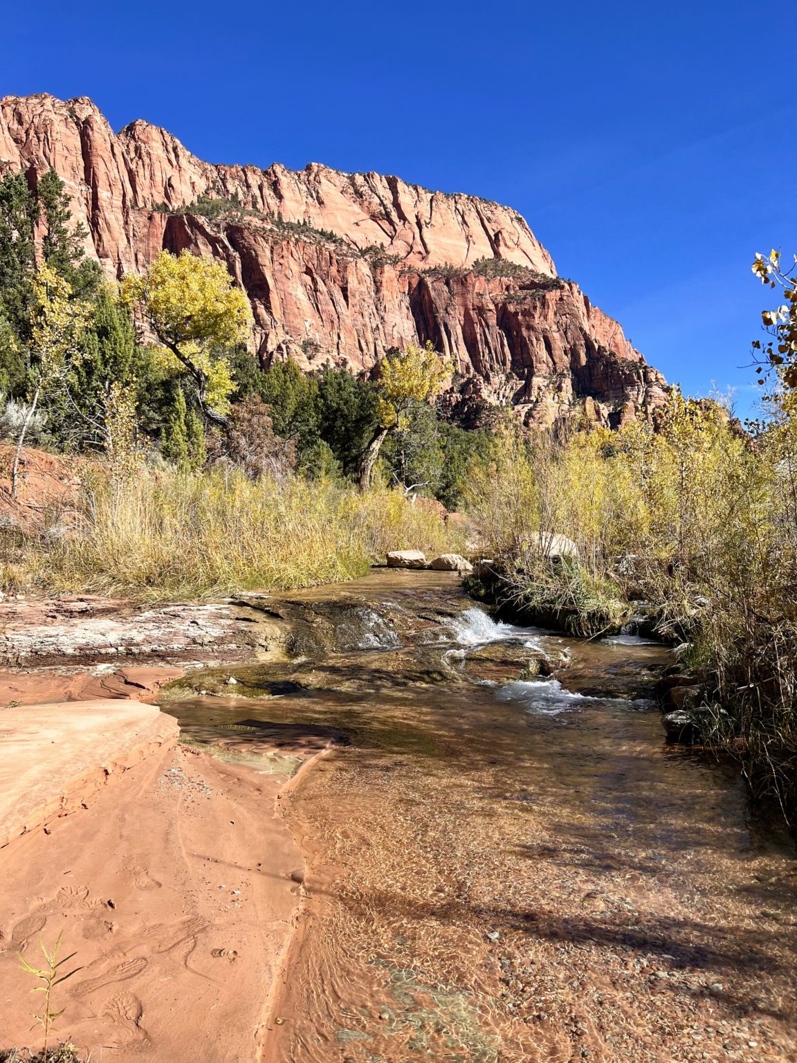 Kolob Arch, Zion National Park – Evans Outdoor Adventures