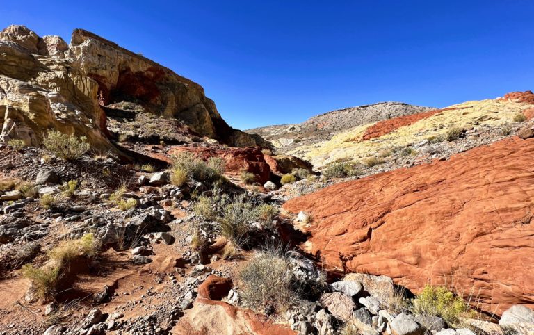 Exploring Whitney Pocket, Gold Butte National Monument – Evans Outdoor ...