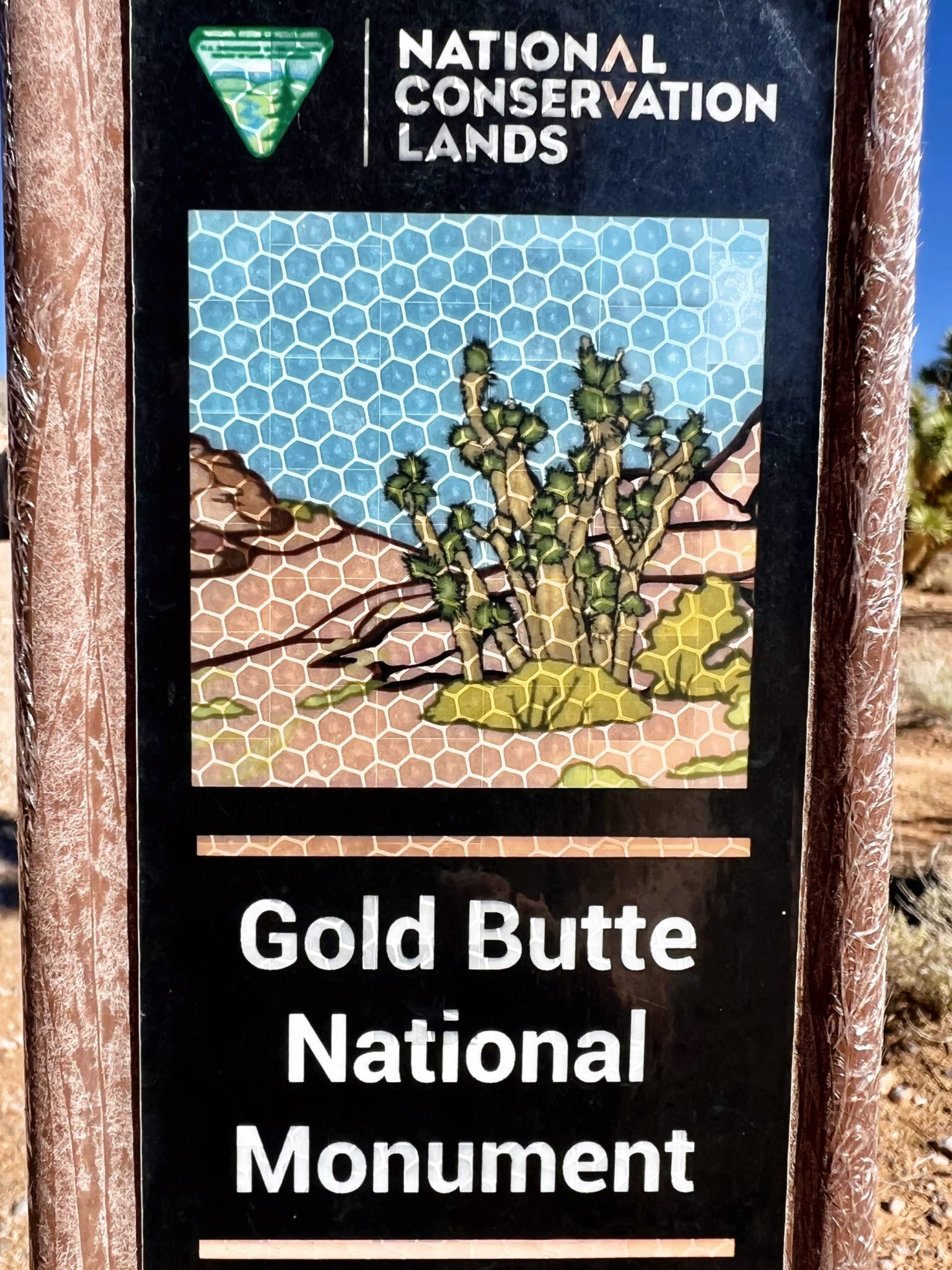 Exploring Whitney Pocket, Gold Butte National Monument – Evans Outdoor ...