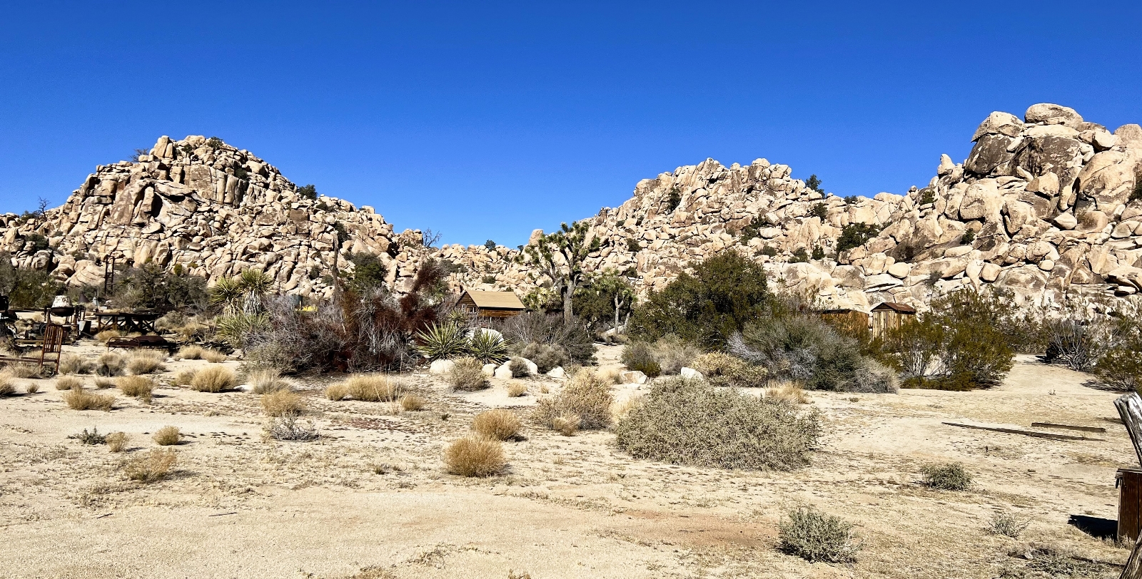 Joshua Tree National Park: Keys Desert Queen Ranch Tour – Evans Outdoor ...