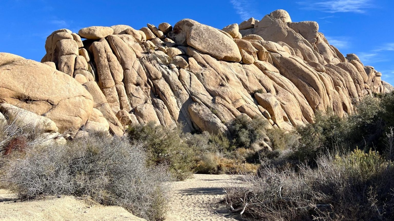 Joshua Tree National Park: Willow Hole – Evans Outdoor Adventures