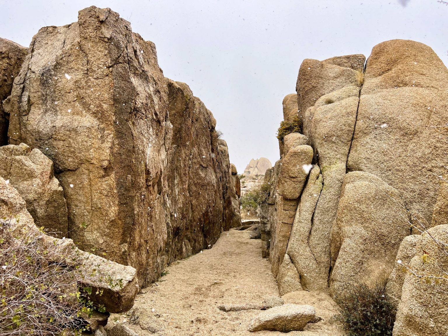 Joshua Tree National Park: Skull Rock-Split Rock Loop In the Snow ...