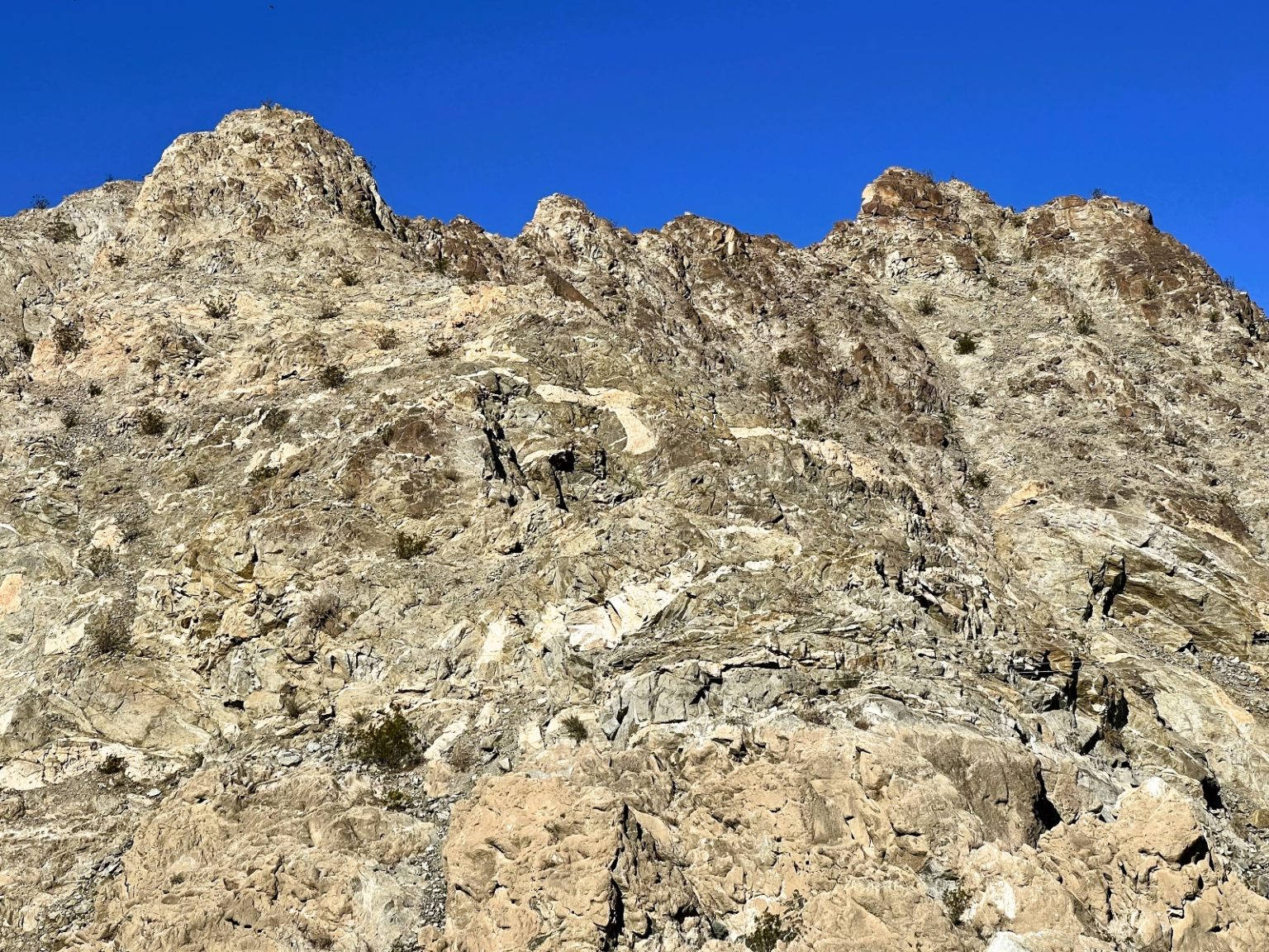 SoCal’s Lake Cahuilla and Lost Palm Oasis – Evans Outdoor Adventures