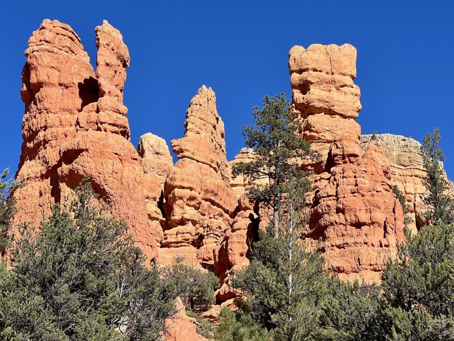 Fall Adventures at Utah’s Red Canyon – Evans Outdoor Adventures
